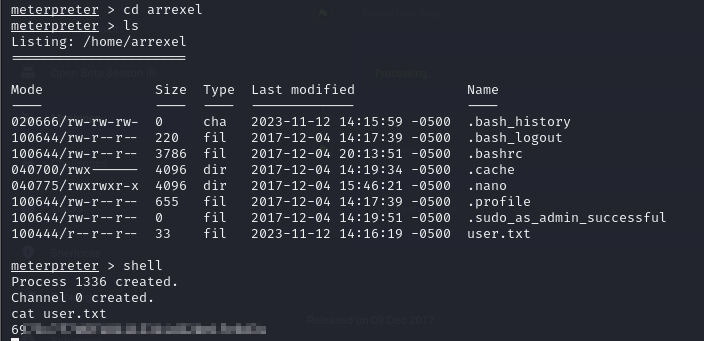 Bashed | A Hacker's Dream